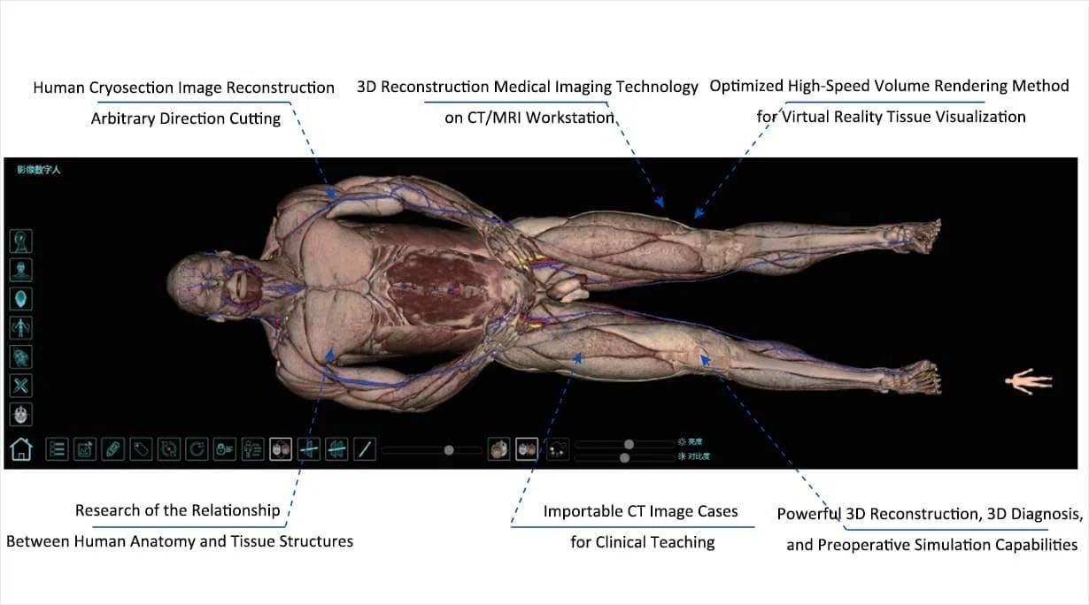Anatomy Teaching Display | 58" 3D Imaging System